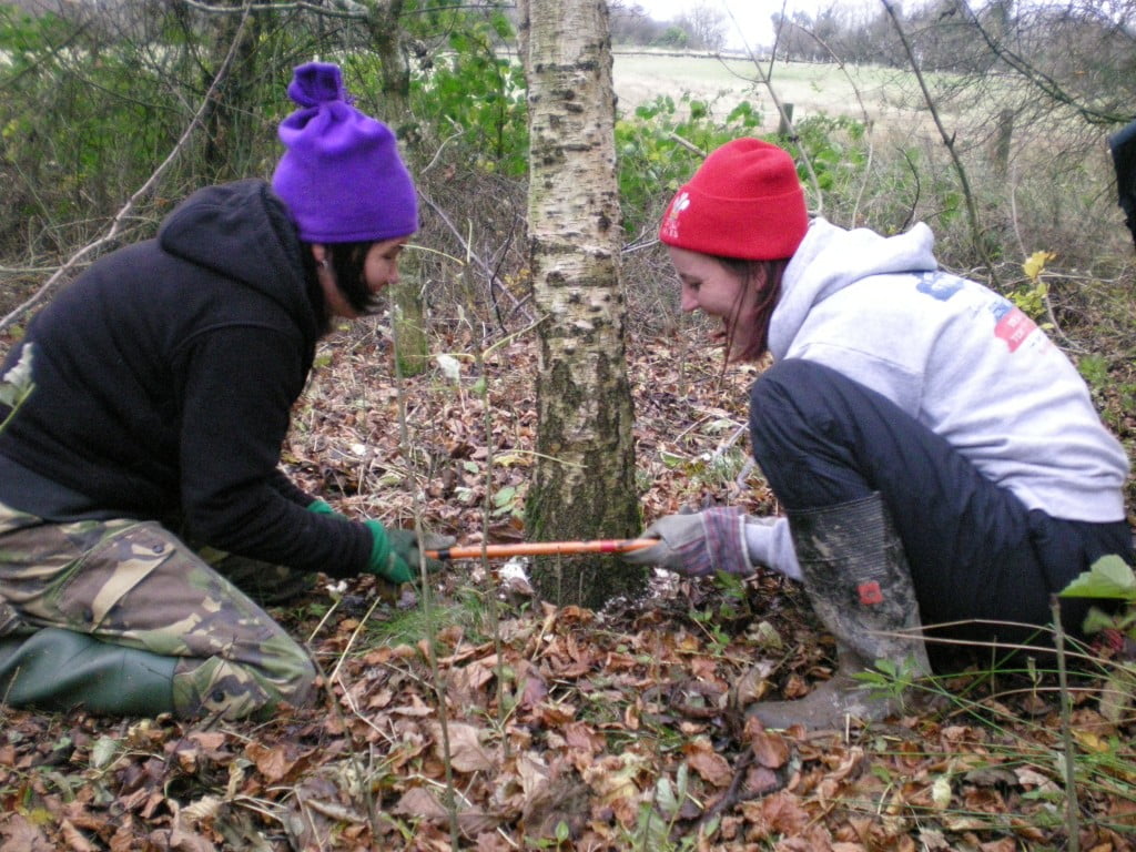 New Conservation Project: Holistic Habitats - Denmark Farm Conservation ...