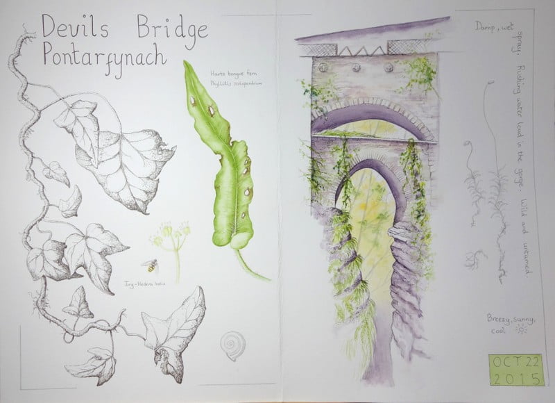 Nature Journal Workshop - Denmark Farm Conservation Centre