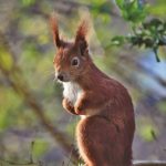Conservation Centre with Eco Friendly Holidays & Campsite, trails ...