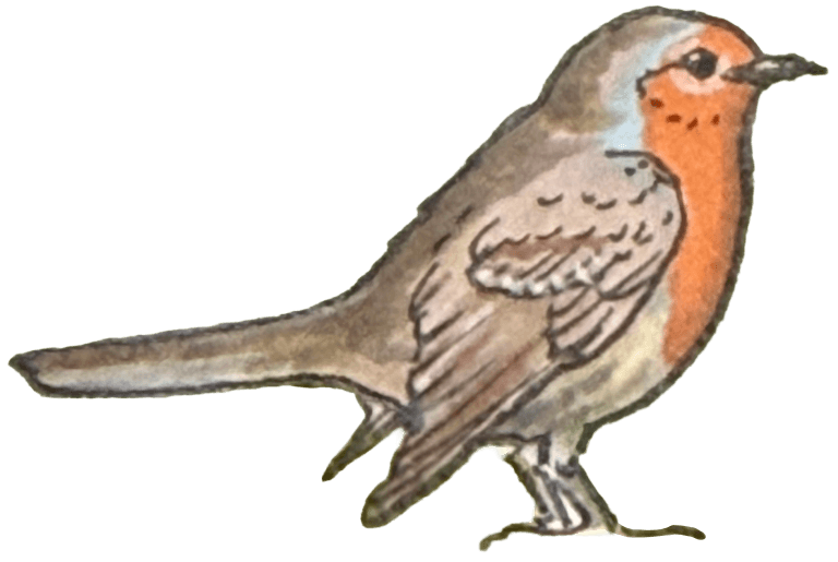 Robin's Perch - Denmark Farm Conservation Centre
